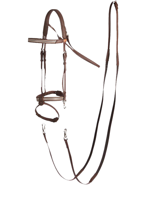 TACK Archives - Bad Dog Ranch