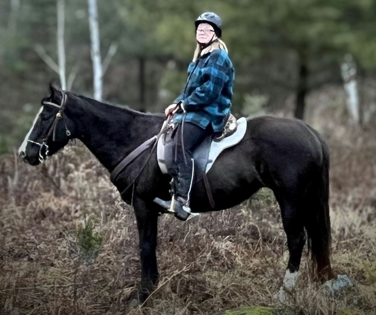 Outback Poley - Bad Dog Ranch
