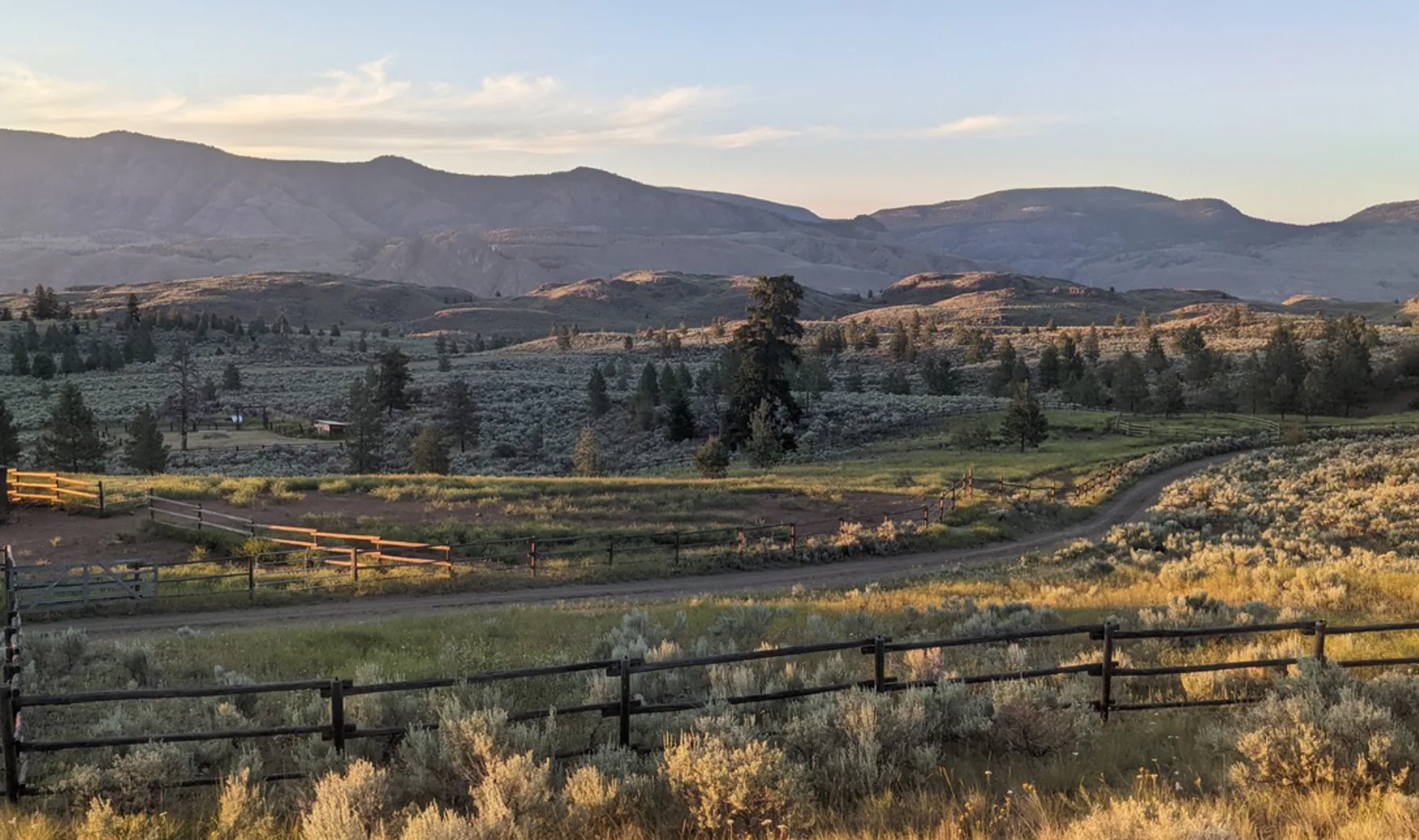 ABOUT US - Bad Dog Ranch